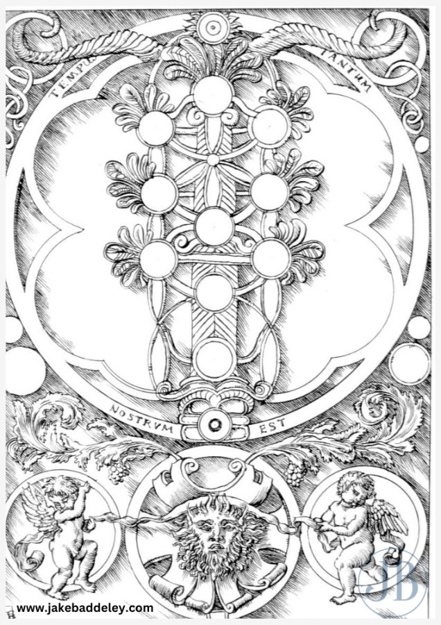 From Seed to Tree ⋆ Jake Baddeley